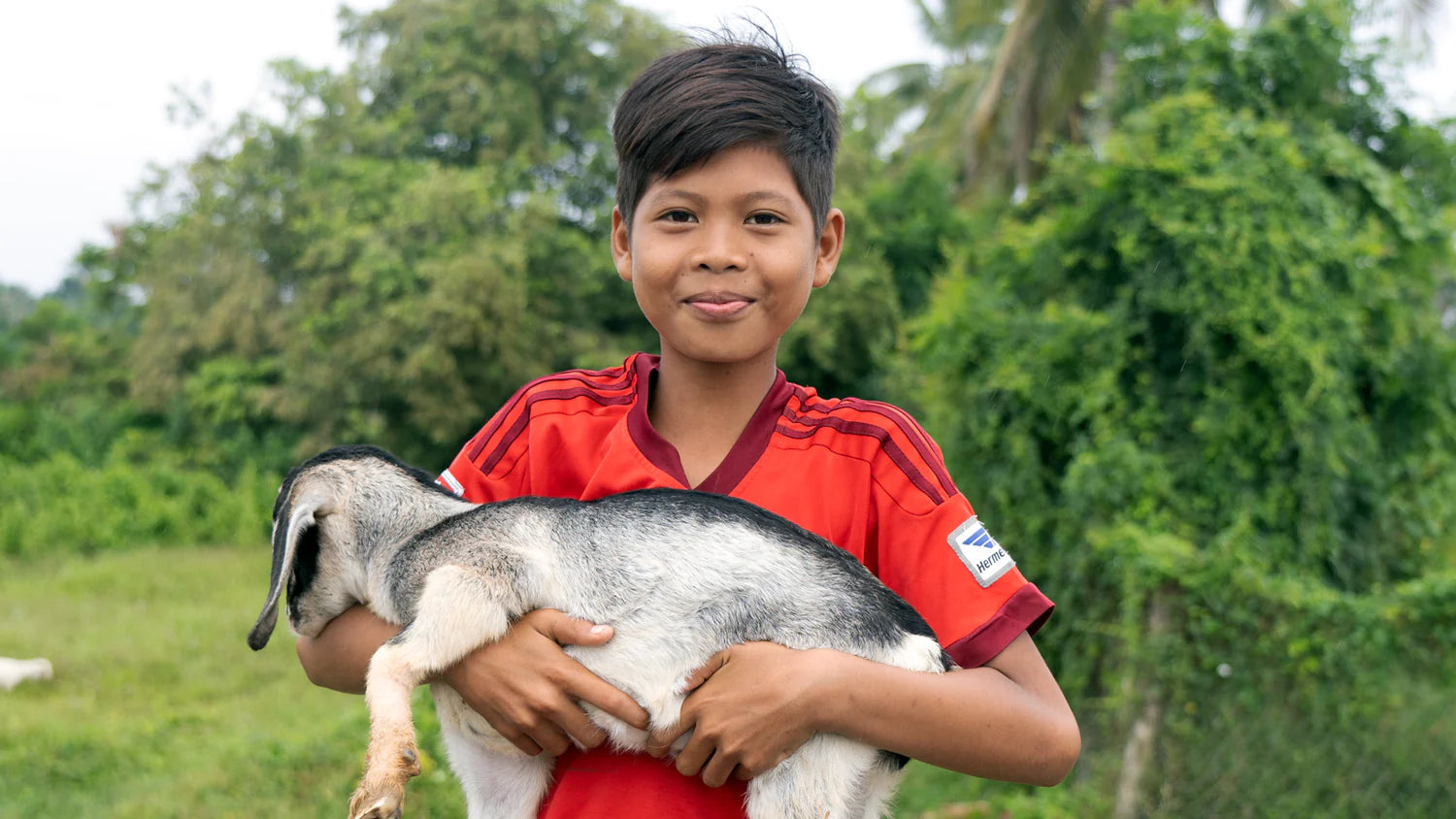 Give Animal Gifts - Holt International Gifts of Hope – Holt ...