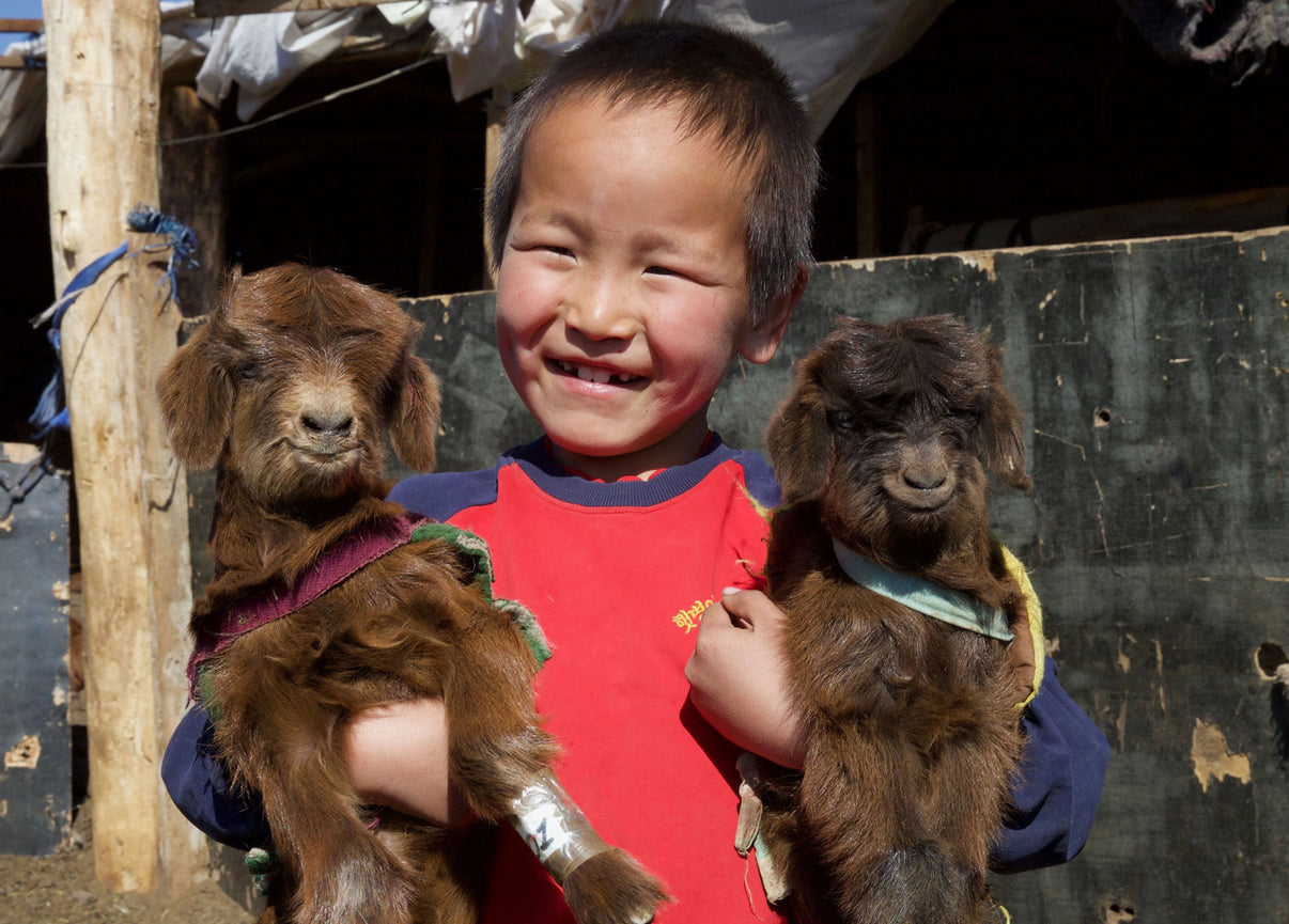 Give a Goat – Holt International - Gifts of Hope